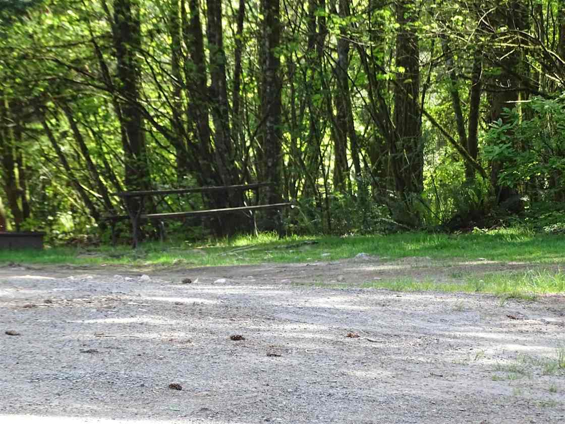 Cougar RV Park & Campground - Hipcamp in Cougar, Washington