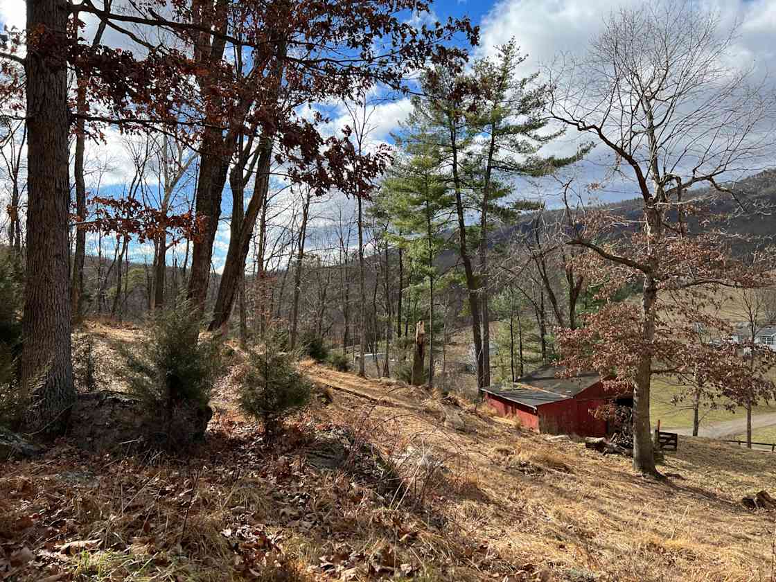 Enchanted Forest Off Grid Farm - Hipcamp in Broadway, Virginia