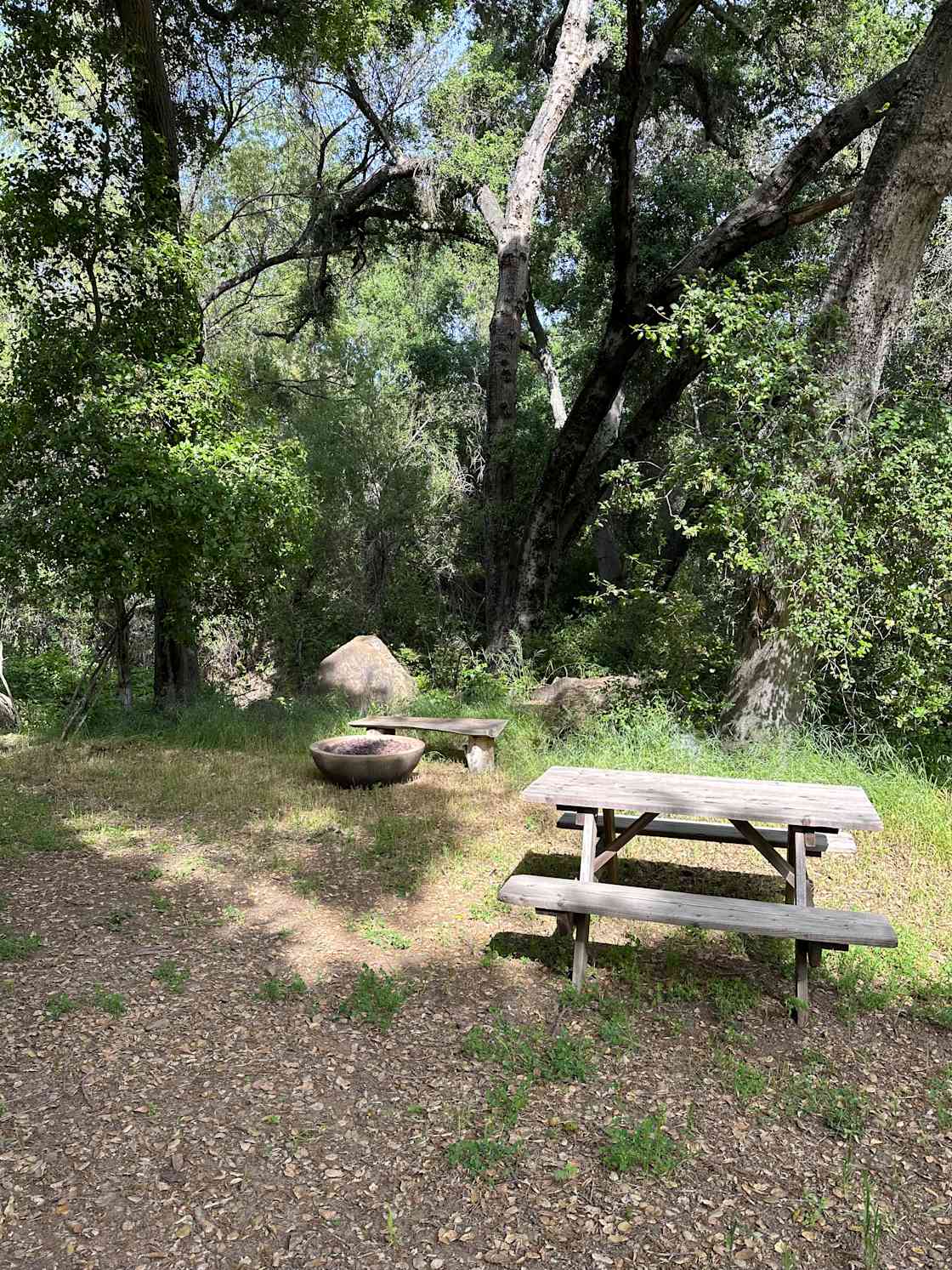Camp Hideaway - Hipcamp in Temecula, California