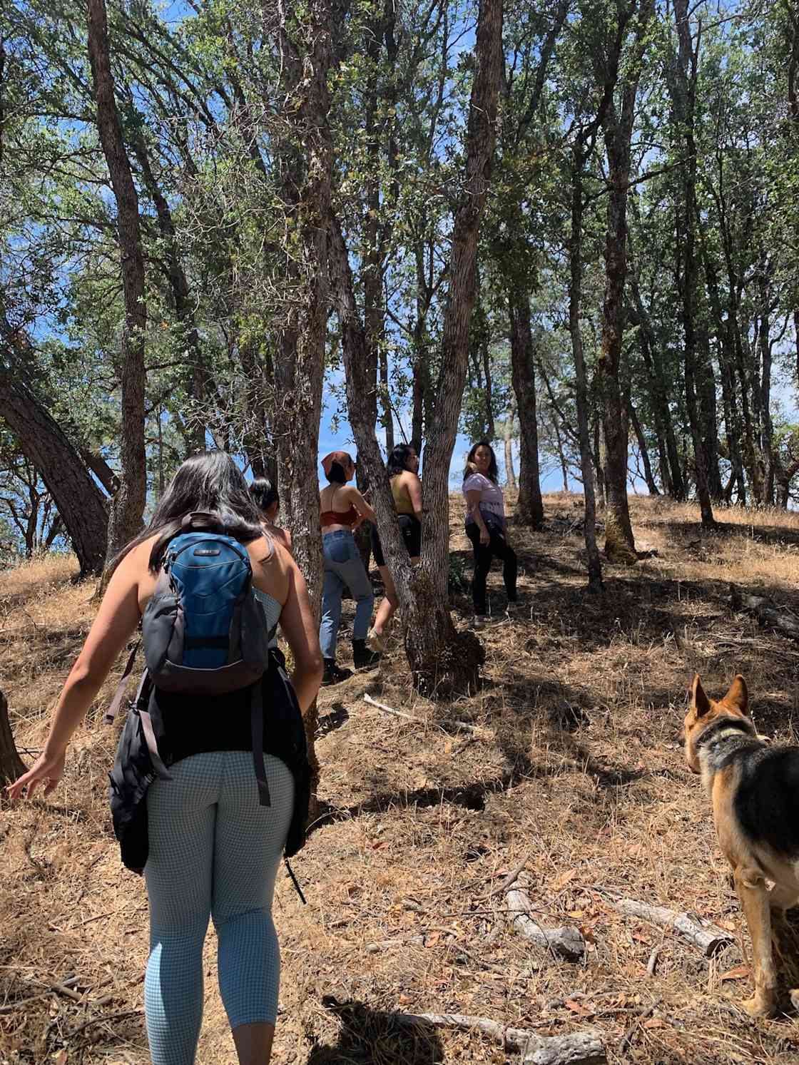 Remagination Farm - Hipcamp in Kelseyville, California