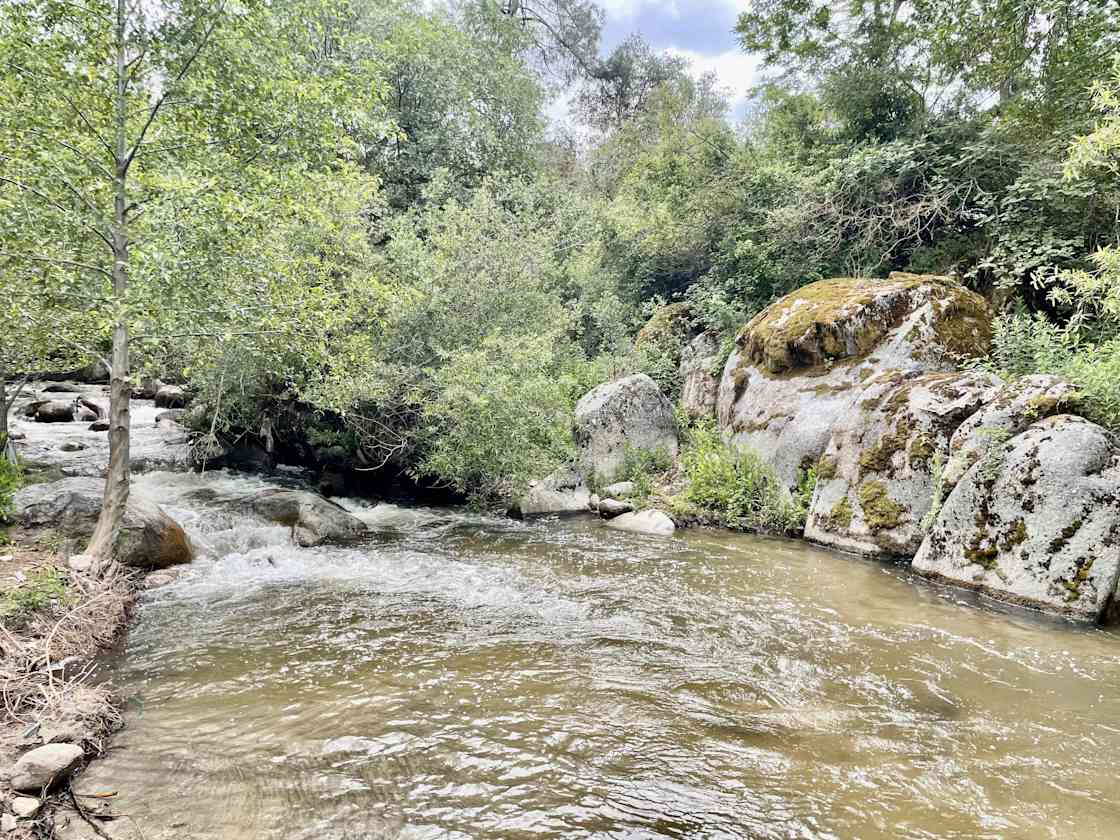 Serene Creekside Cabin in Posey - Hipcamp in Posey, California