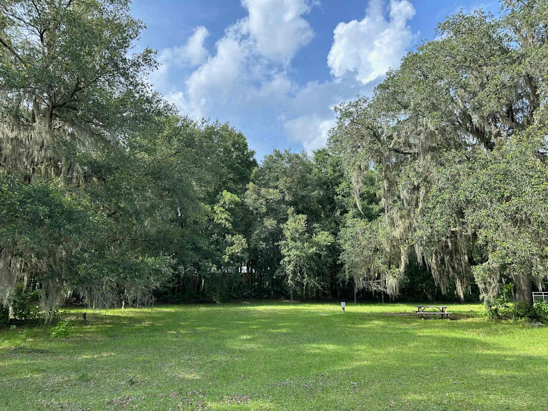 Peacefield Farm Sanctuary - Hipcamp in Newberry, Florida