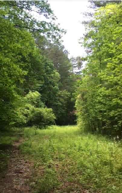 Rustic camping in Ellijay mountains - Hipcamp in Ellijay, Georgia