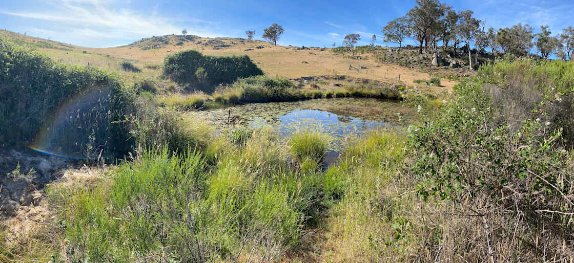 Frogtaria - Hipcamp in Frogmore, New South Wales