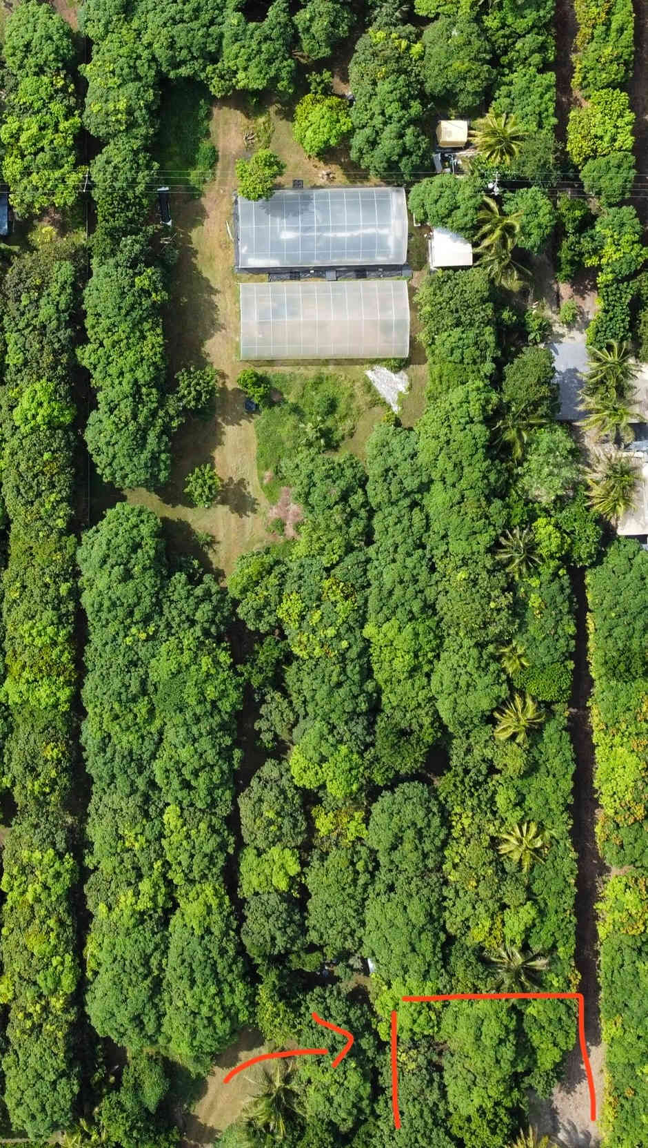 Rama Farm - Hipcamp in South Miami Heights, Florida