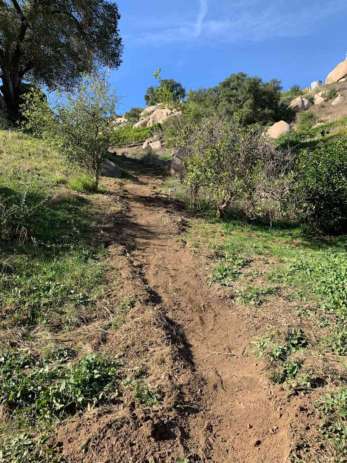 Pepper Family Farm - Hipcamp in Fallbrook, California