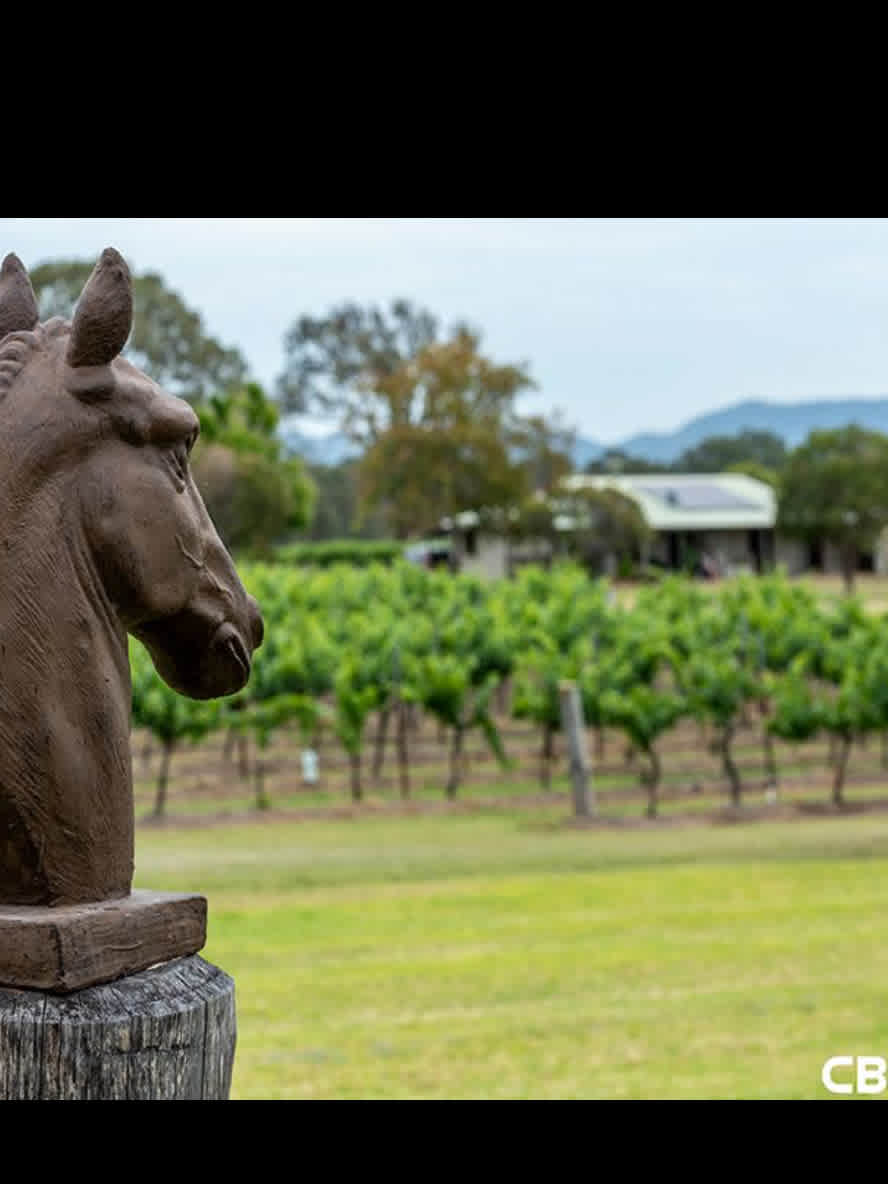 Trinity Vineyard - Hunter Valley - Hipcamp in Lovedale, New South Wales