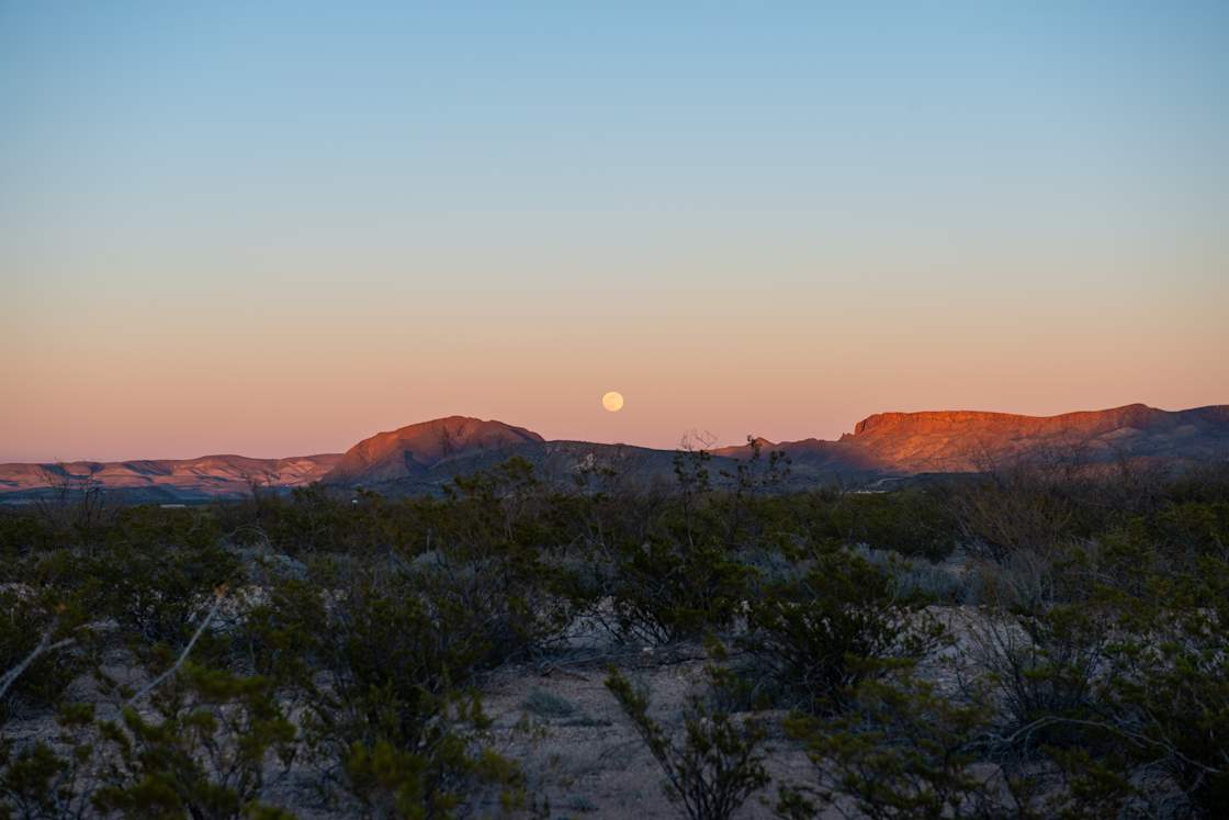 Ocotillo Flats Camping - Hipcamp in Study Butte, Texas