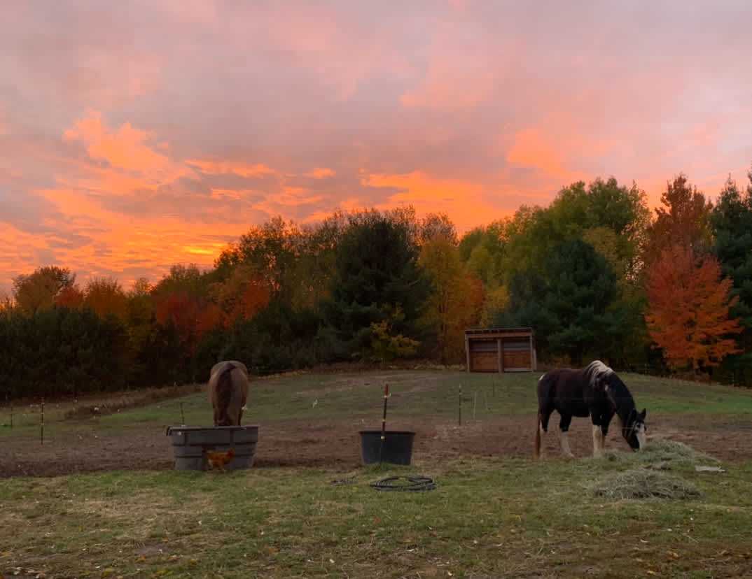 CK Ranch Camp - Hipcamp in Bear Lake, Michigan