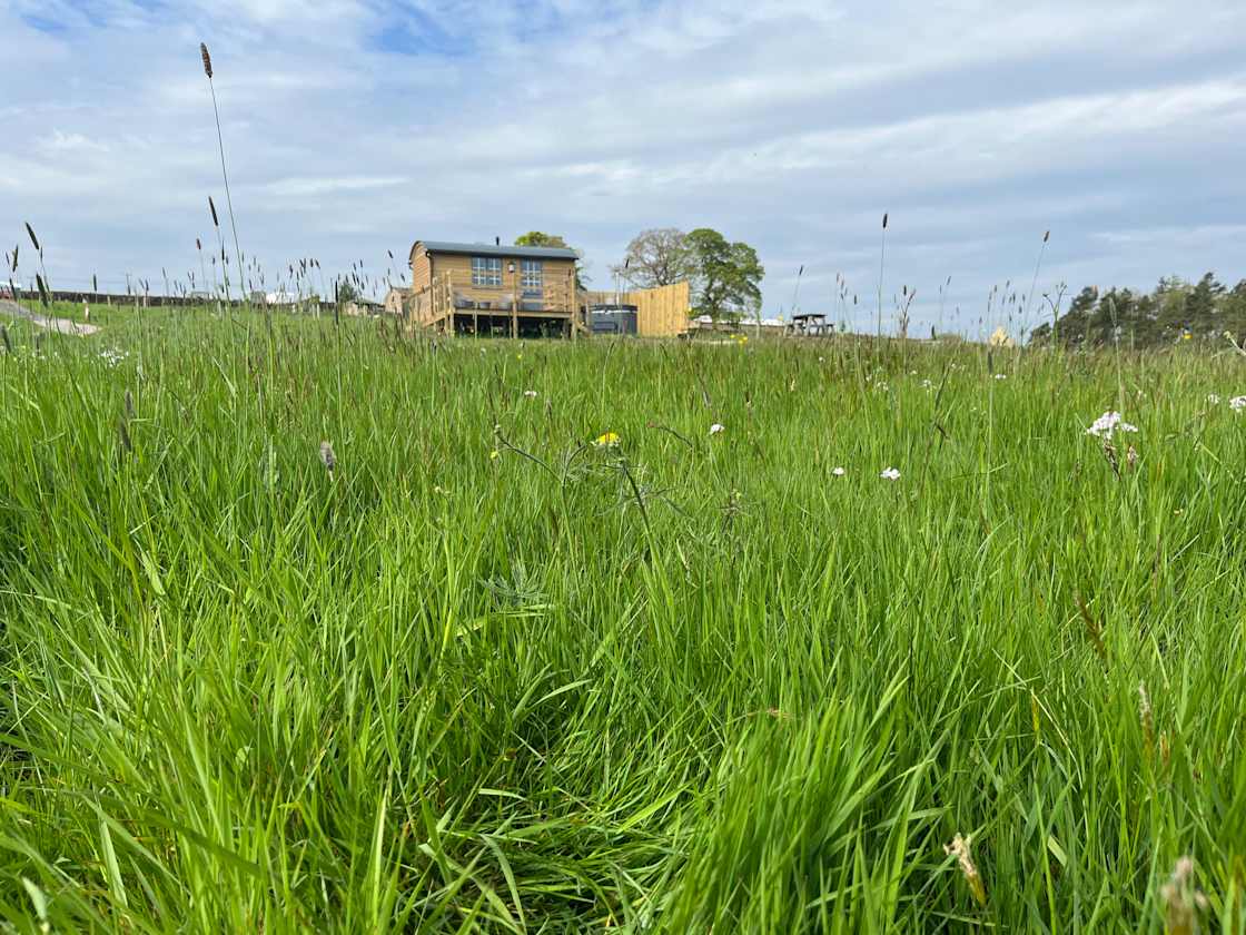 Breaks Fold Farm Glamping & Camping - Hipcamp in North Yorkshire, England