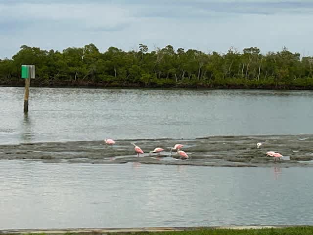 Goodland Waterfront RV Lot - Hipcamp in Goodland, Florida