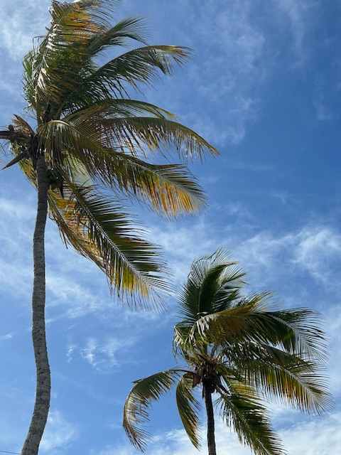 Goodland Waterfront RV Lot - Hipcamp in Goodland, Florida