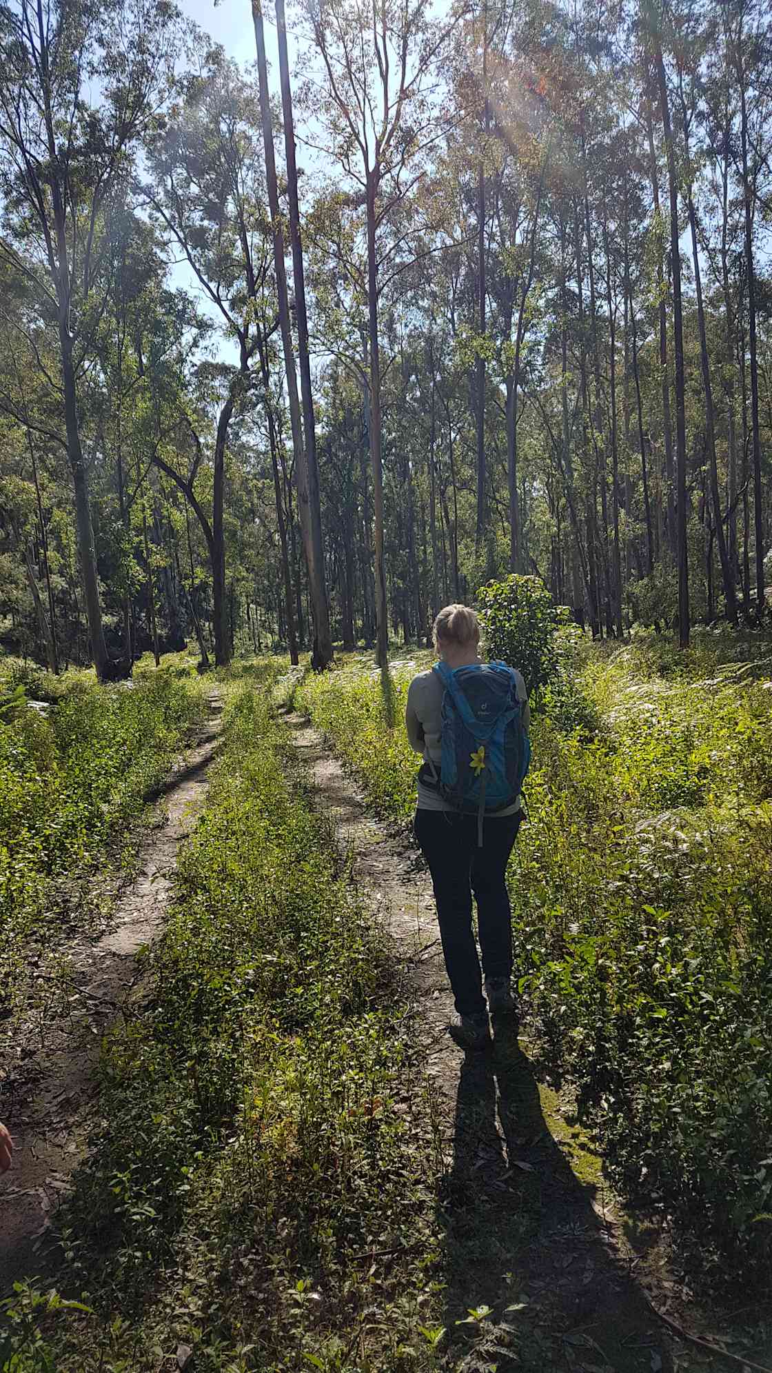 Putty Valley Escape - Hipcamp in Putty, New South Wales
