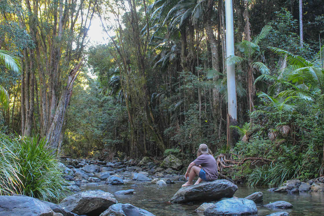 Oasis of Hope - Hipcamp in Upper Orara, New South Wales