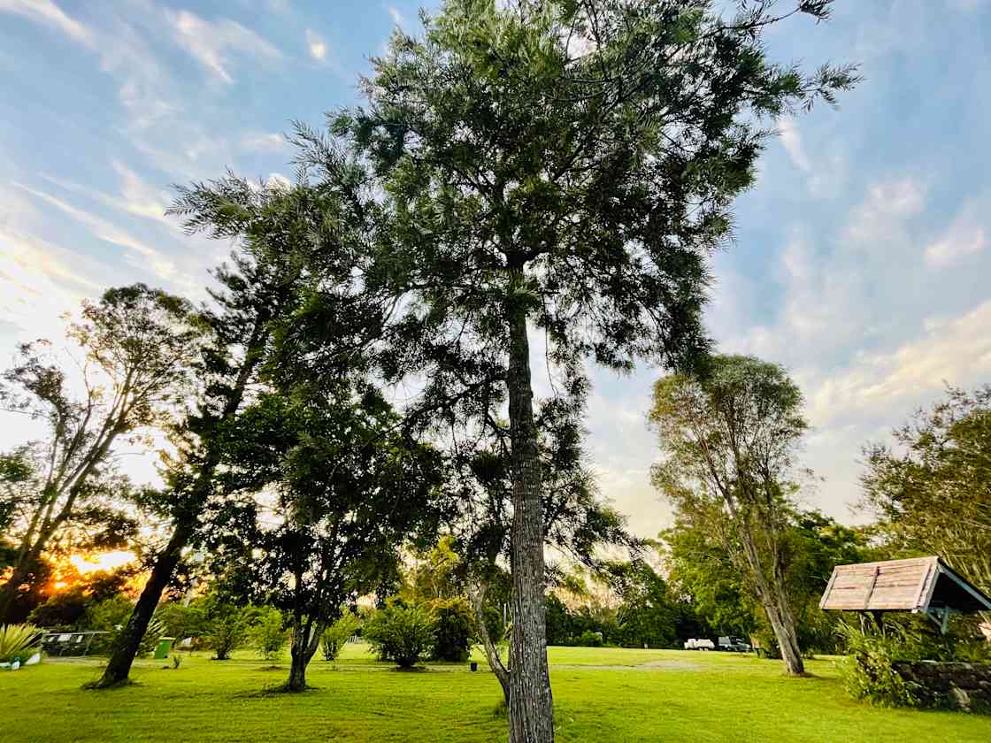 Dusty Ridge Ranch - Hipcamp in Carters Ridge, Queensland