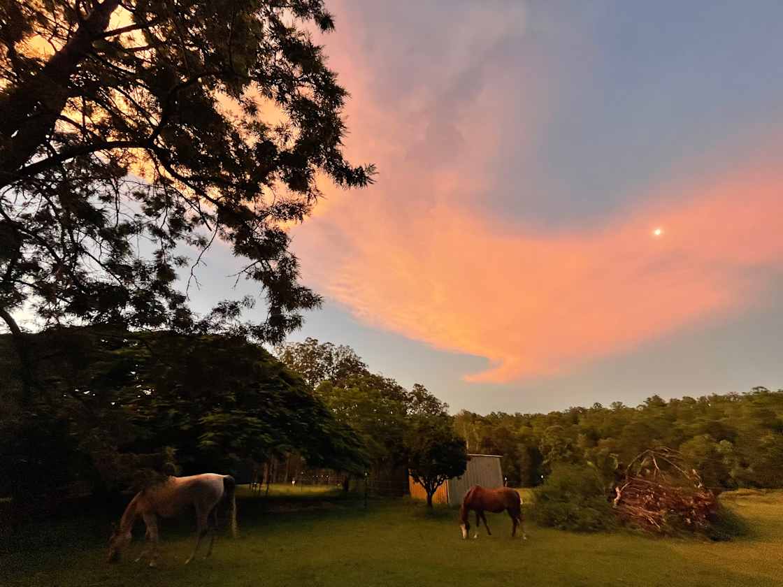Dusty Ridge Ranch - Hipcamp in Carters Ridge, Queensland