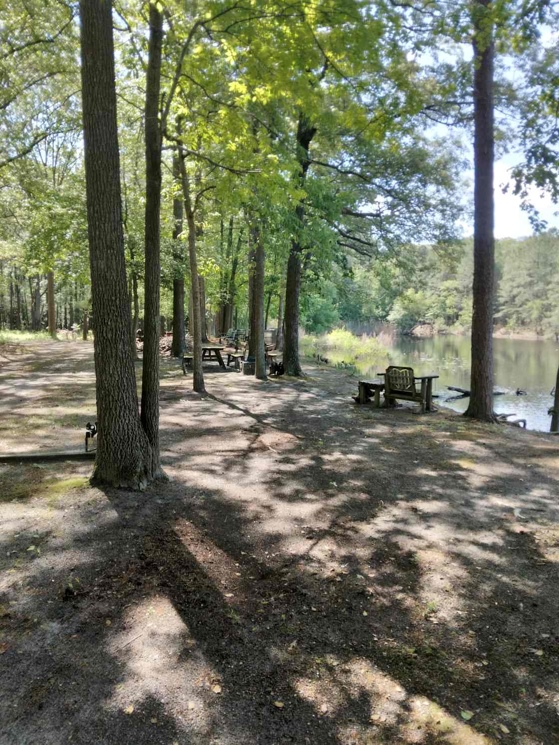 Camping in Delaware: Best Delaware Campgrounds 2024 | Hipcamp