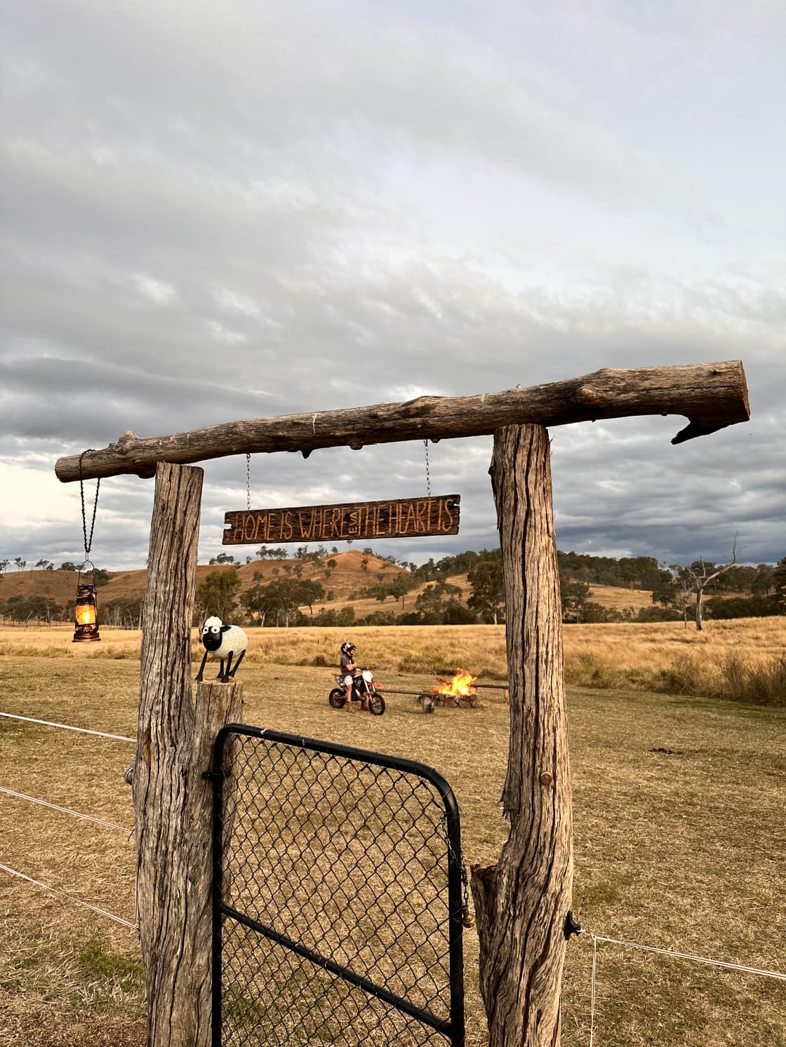 Discover the best dog-friendly campgrounds in North Stradbroke Island
