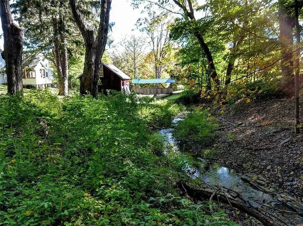 Brookside Lean-to - Hipcamp in Branchport, New York