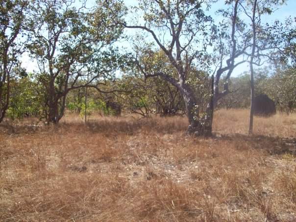 Two Rivers Campground - Hipcamp in Tumbling Waters, Northern Territory