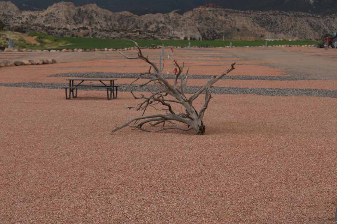 Capitol Reef RV Park and Glamping - Hipcamp in Teasdale, Utah