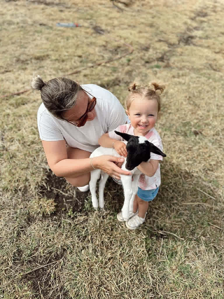 Discover the best dog-friendly campgrounds in North Stradbroke Island