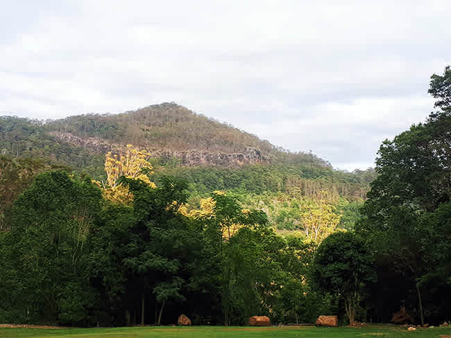 Talweg of Talley Valley on the Gold Coast - Hipcamp in Tallebudgera ...