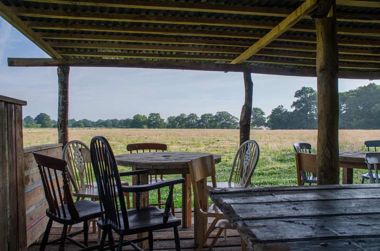 Knepp Wildland Safaris & Camping - Hipcamp in West Sussex, England