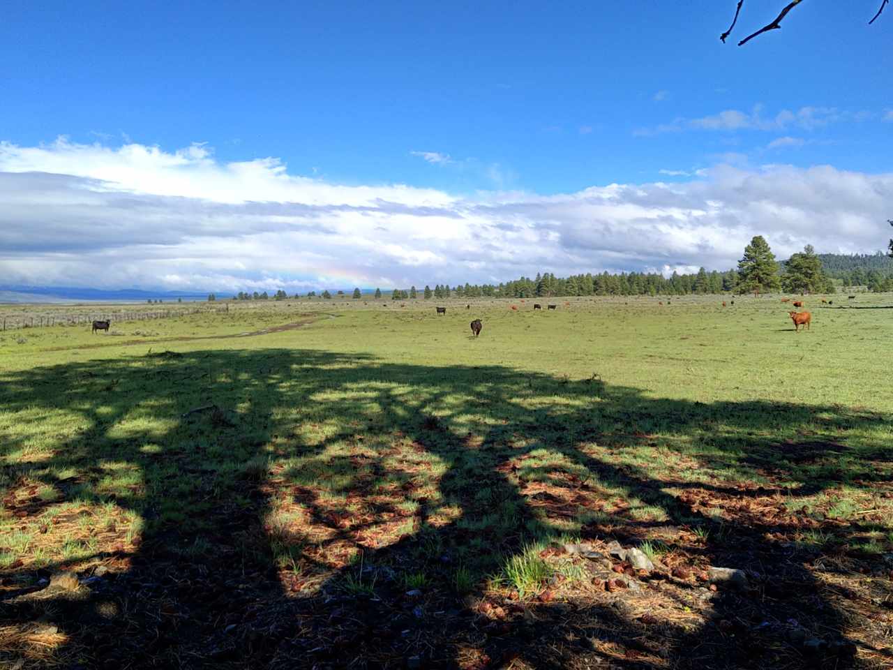 Crown Cattle Company - Hipcamp in Seneca, Oregon