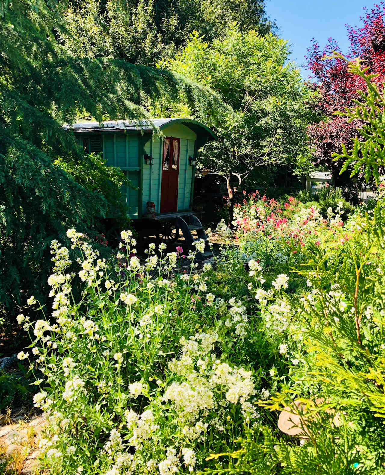 Oak Hollow Farm and Sanctuary - Hipcamp in Oak Glen , California