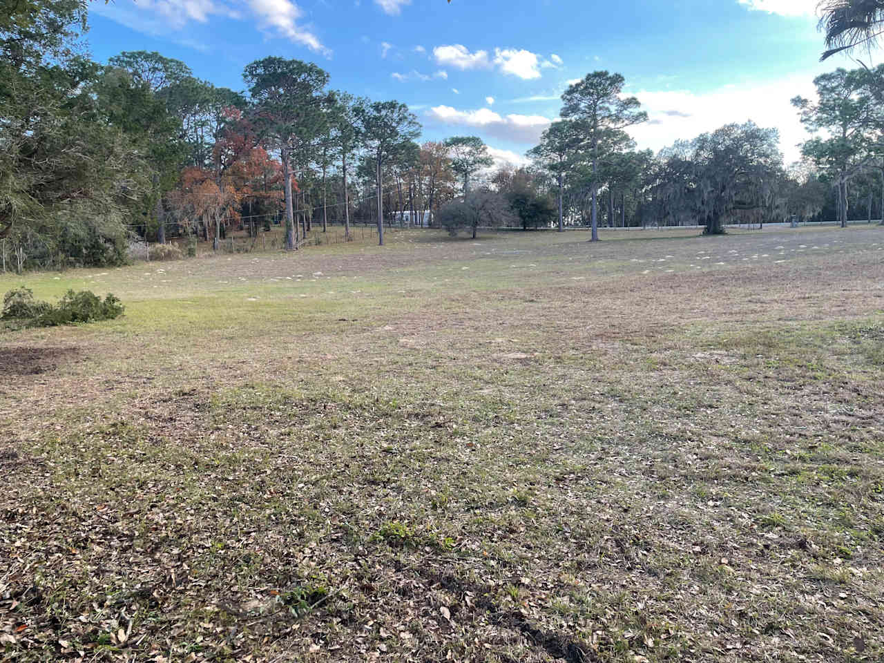 Picnic point - Hipcamp in Hernando, Florida