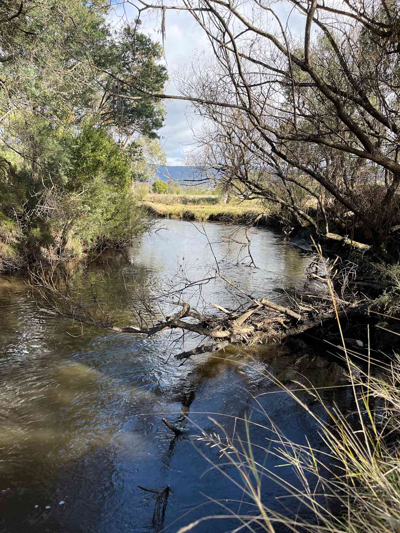 Galea Ranch - Hipcamp in Taggerty, Victoria