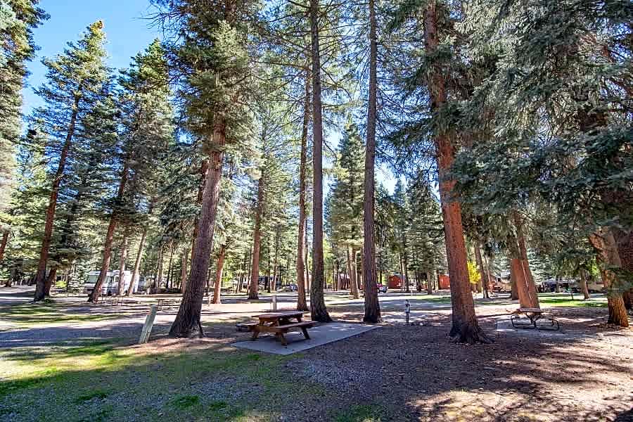 Blue Spruce RV Park & Cabins - Hipcamp in Bayfield, Colorado