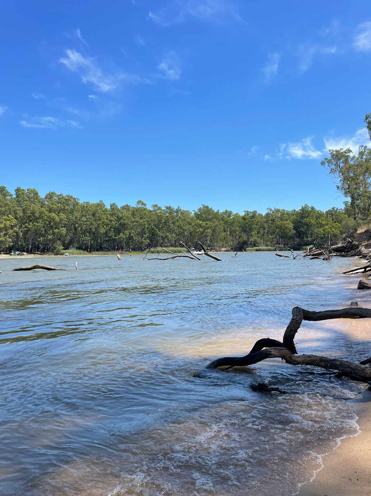 Beach Camping in Victoria: Best Beach Campsites 2025 | Hipcamp