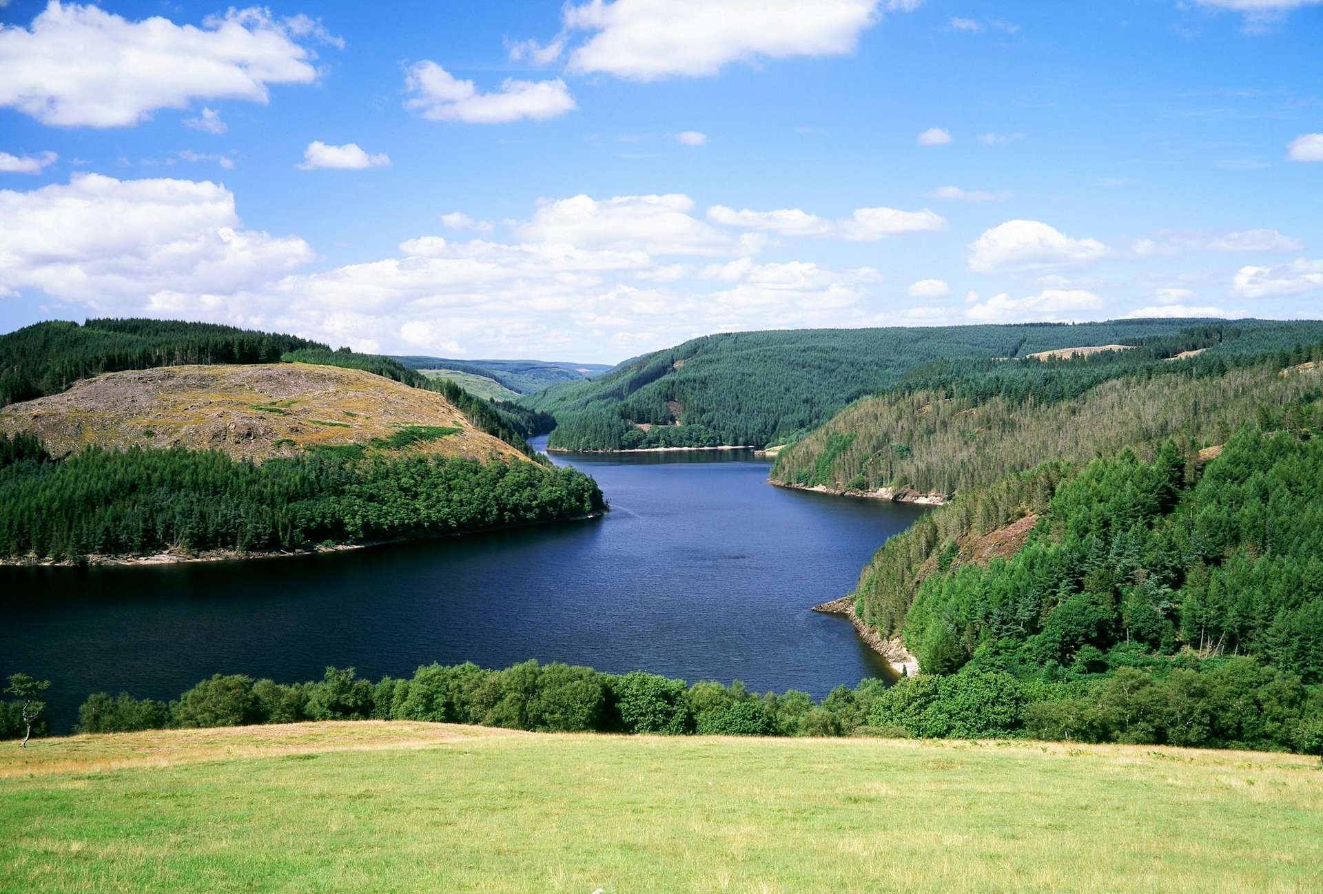 Rhandirmwyn Camping and Caravanning Club Site - Hipcamp in ...