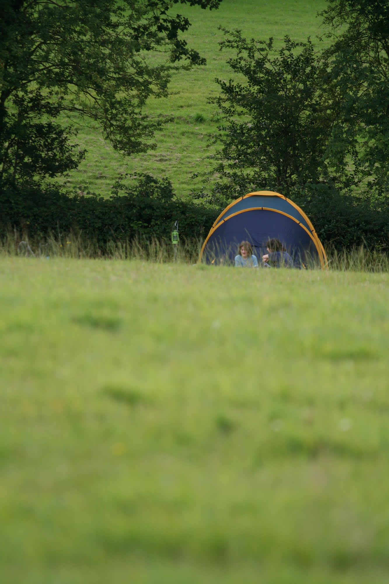 Heaven Farm - Hipcamp in East Sussex, England