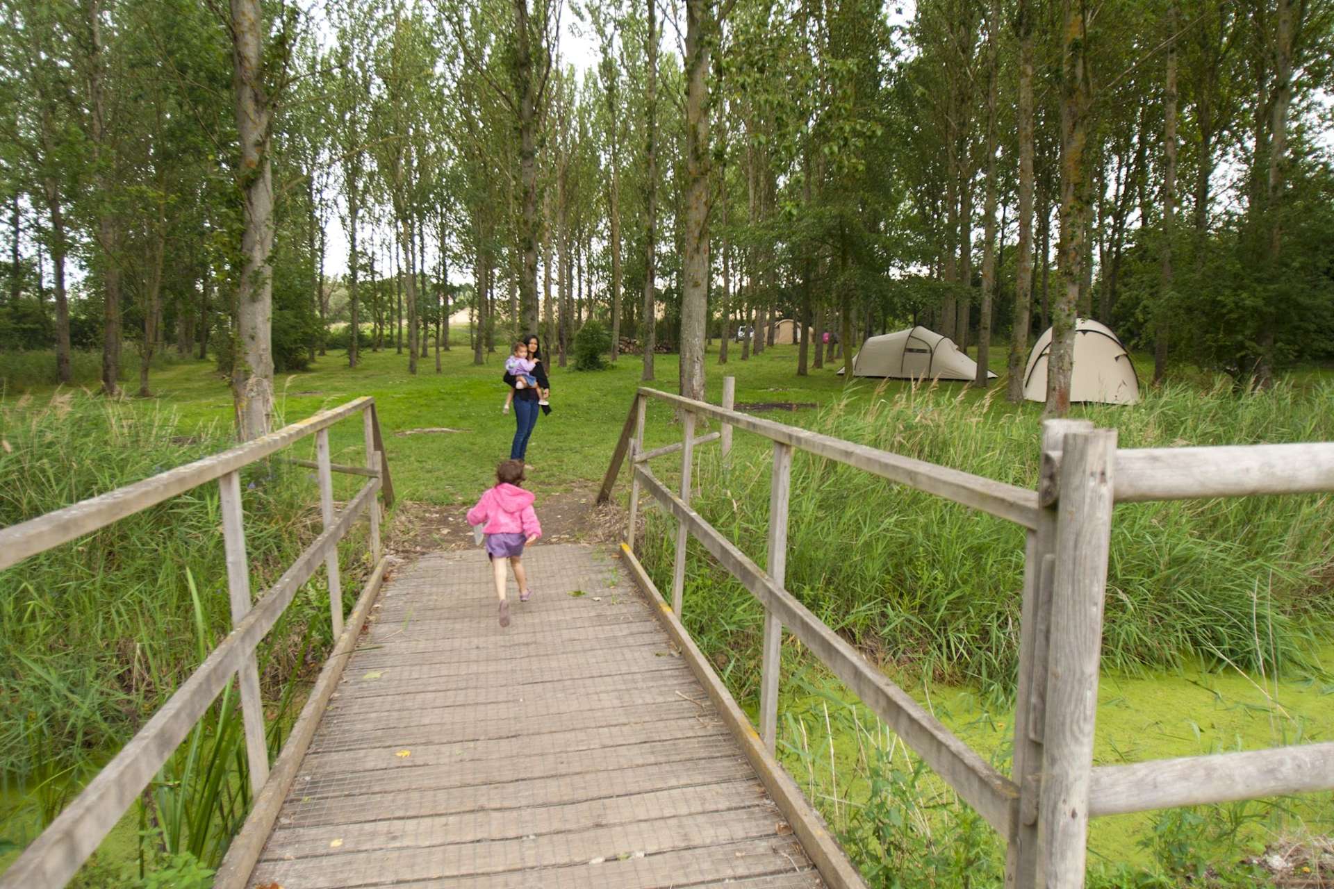 Nethergong Camping - Hipcamp in Kent, England