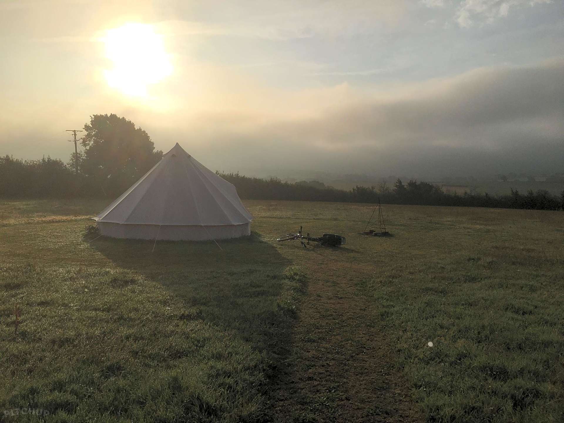 Haddon Copse Farm - Hipcamp in Dorset, England
