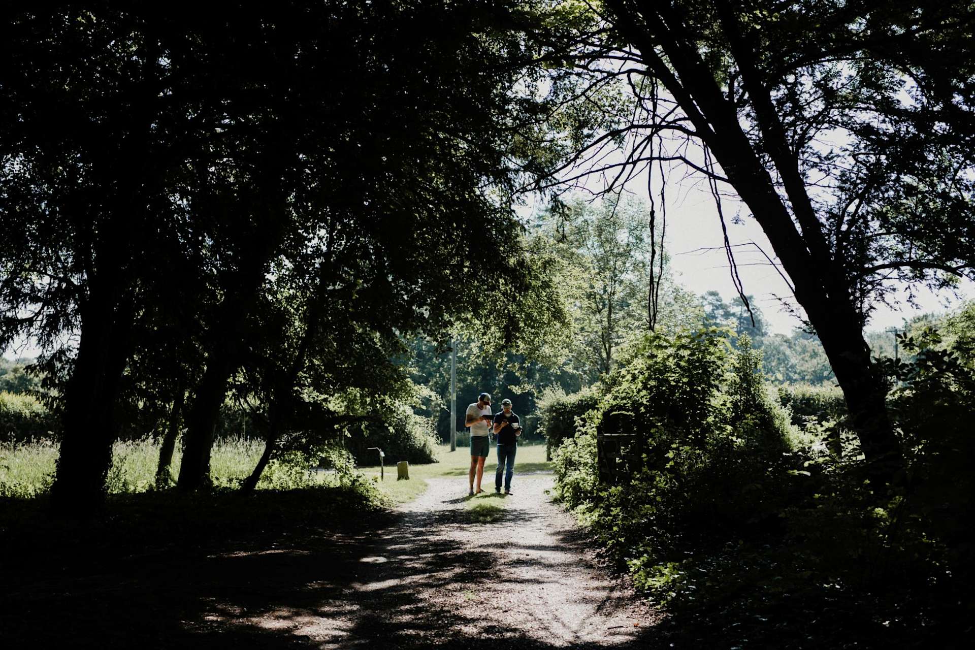 The Cholderton Estate - Hipcamp in Hampshire, England
