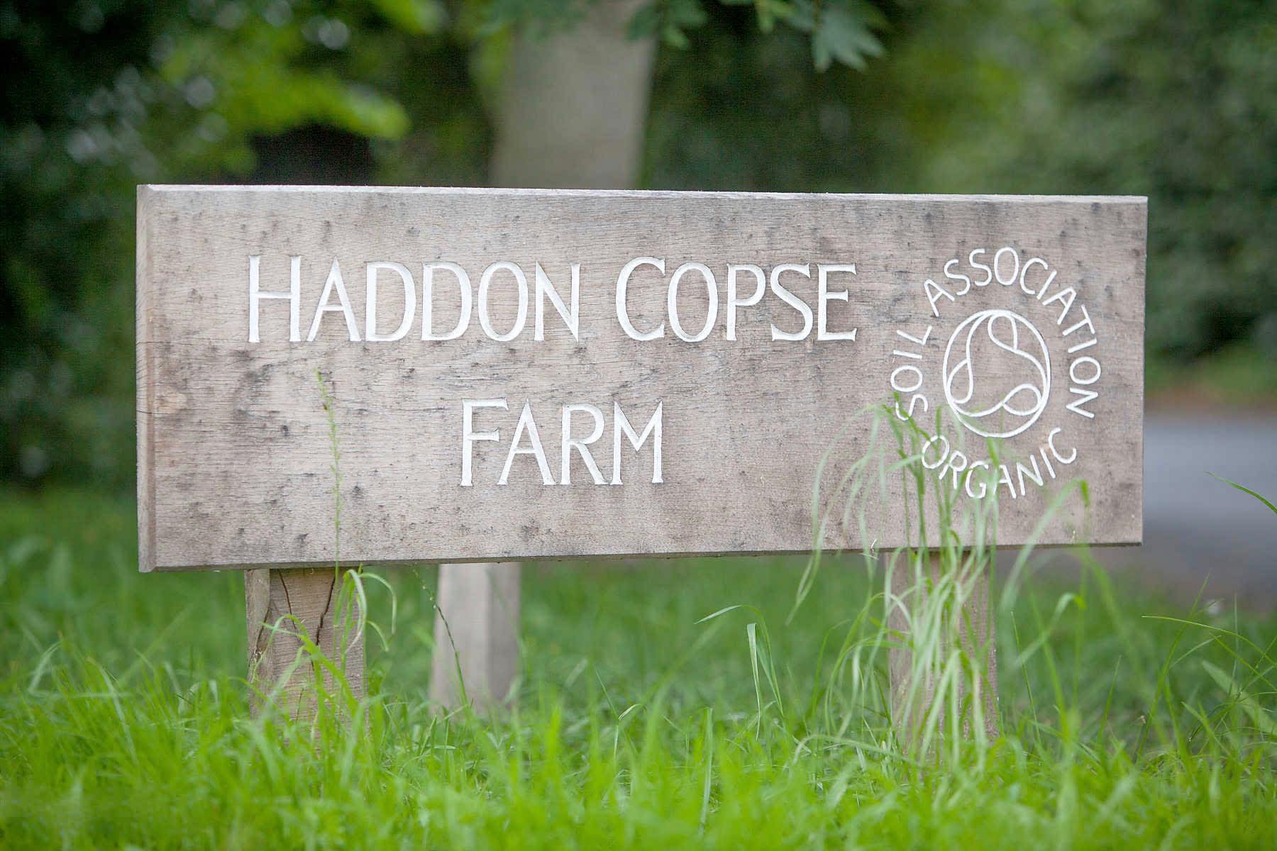 Haddon Copse Farm - Hipcamp in Dorset, England