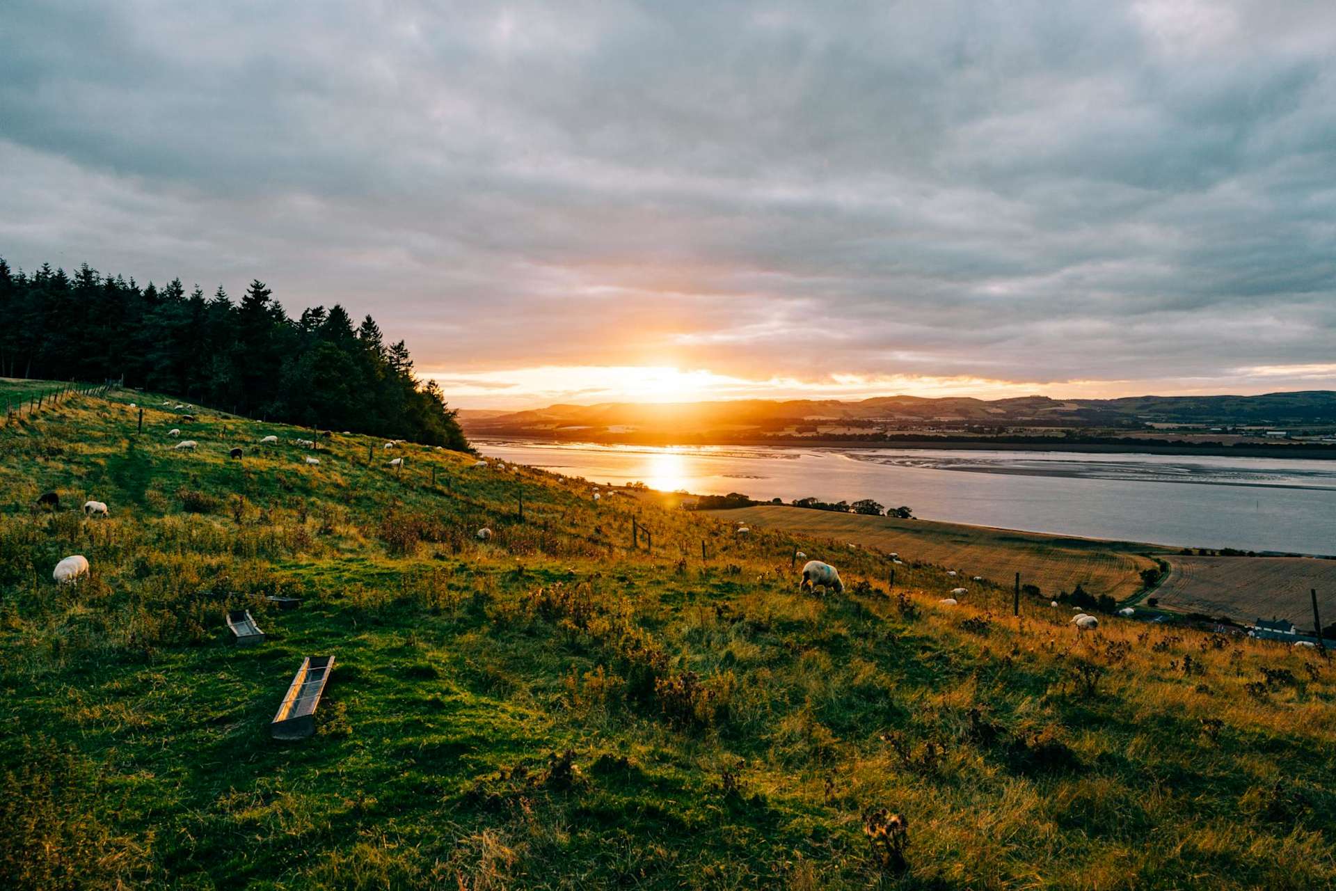 The Snug at Logie Farm - Hipcamp in Fife, Scotland