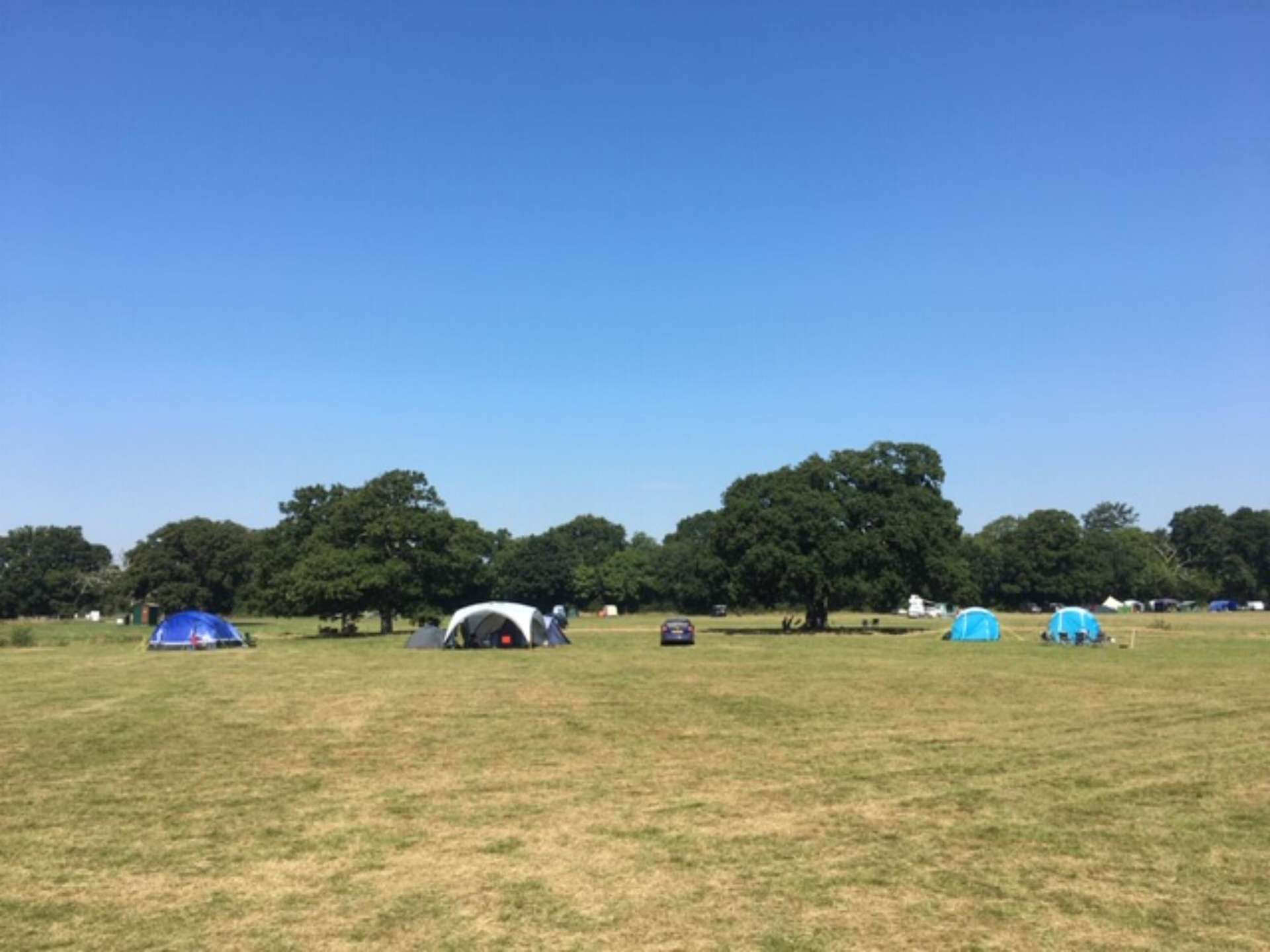 Snelling Farm Campsite - Hipcamp in Dorset, England