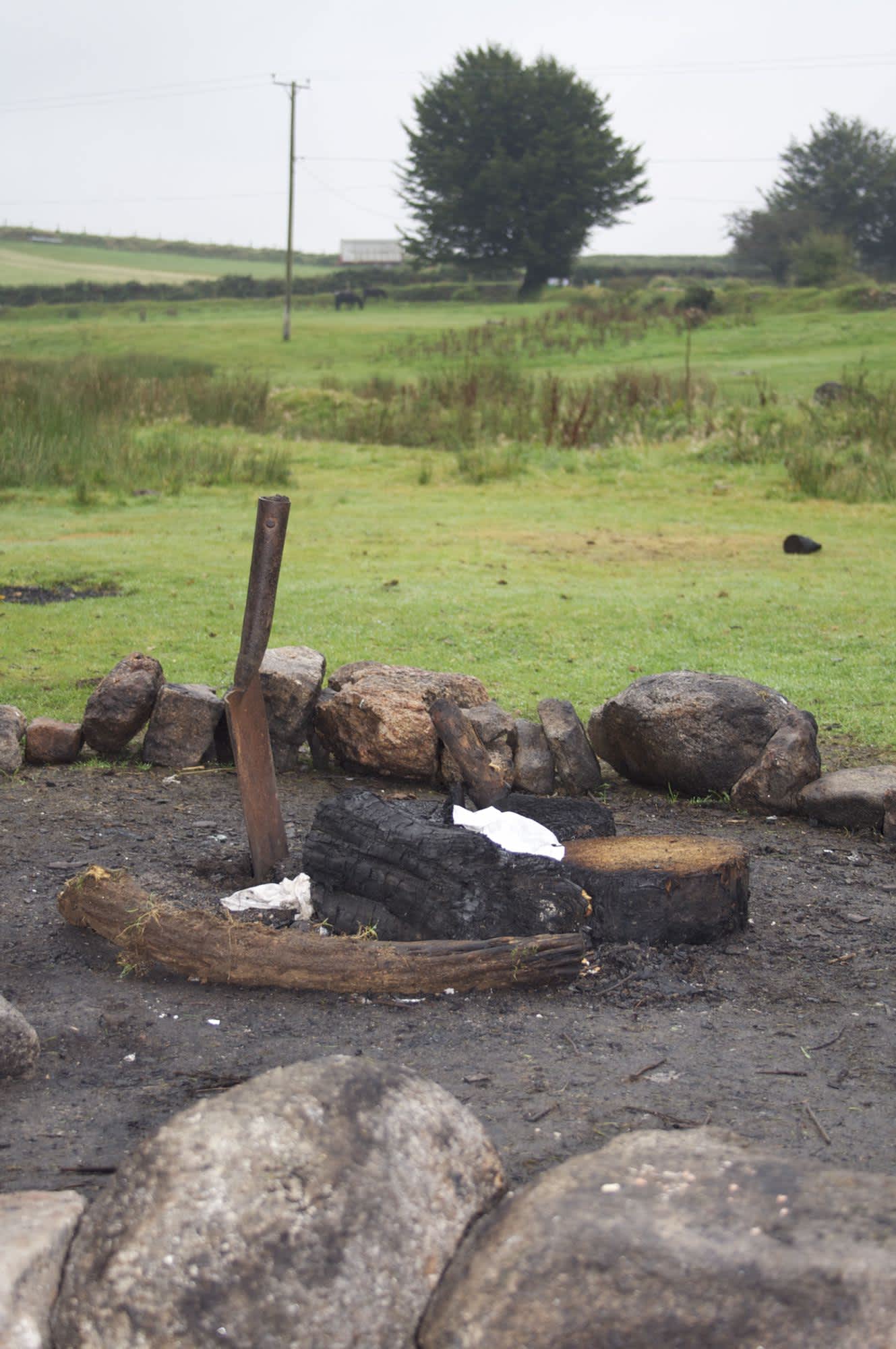 Runnage Farm - Hipcamp in Devon, England