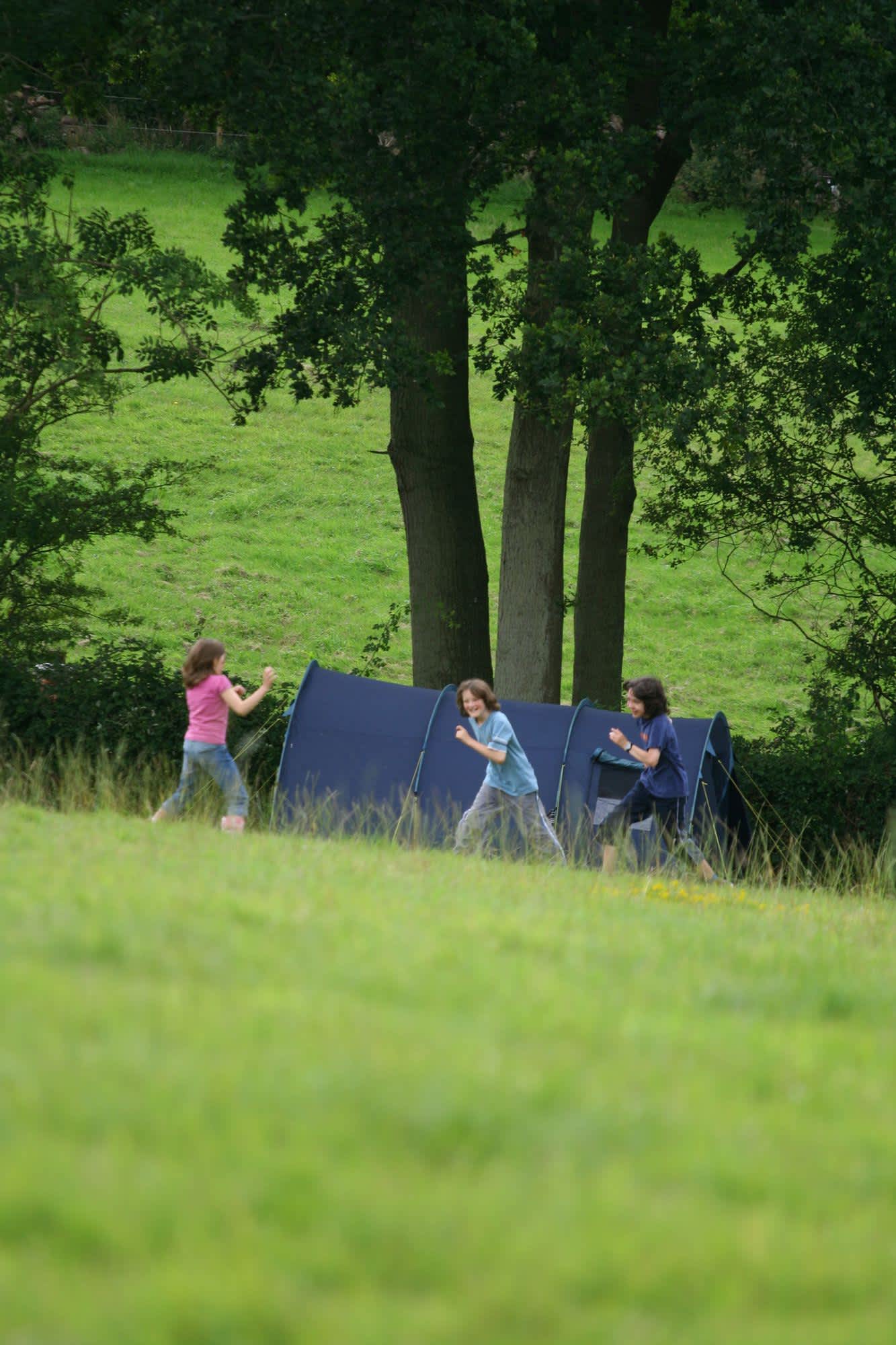 Heaven Farm - Hipcamp in East Sussex, England