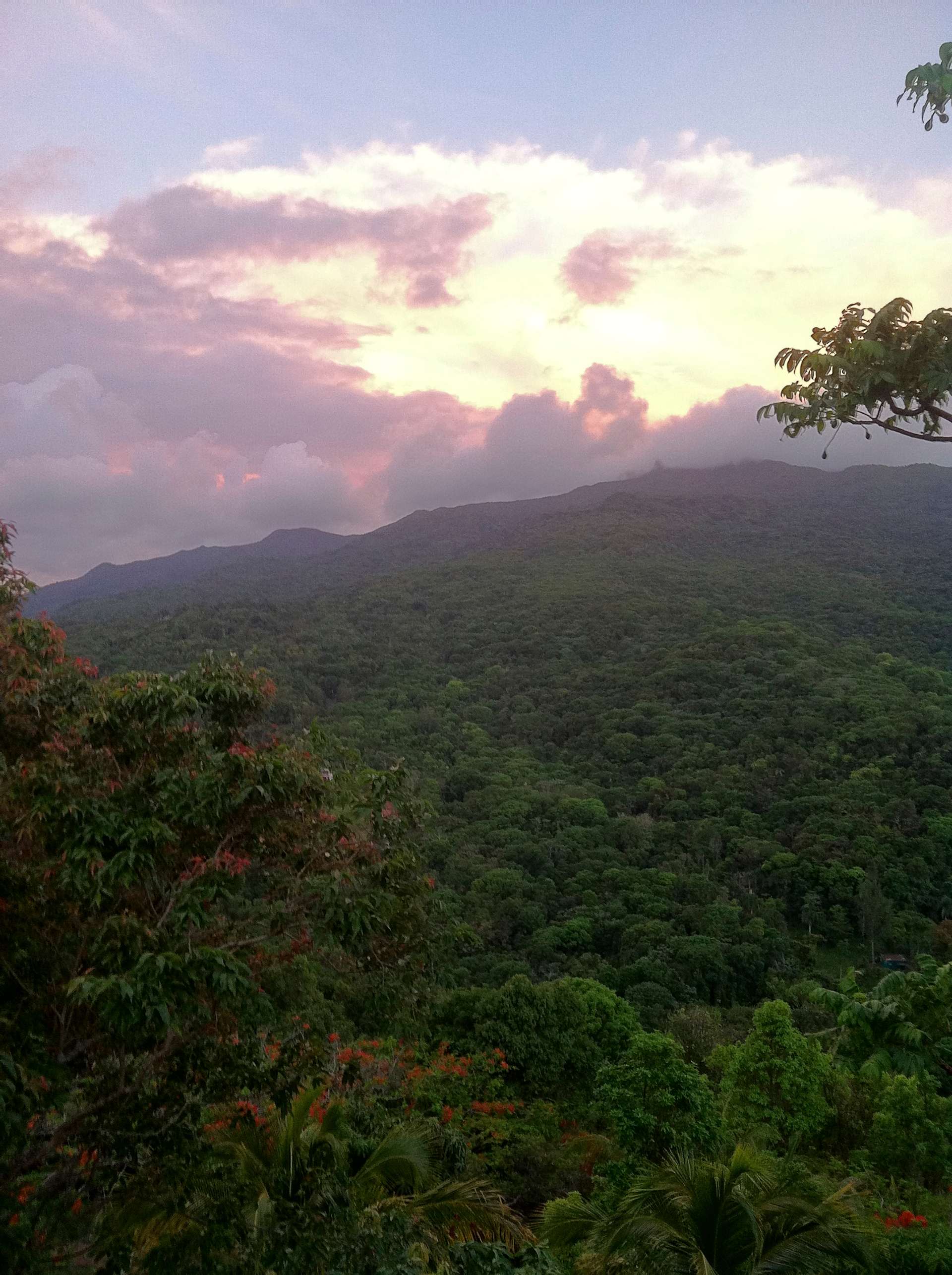 Coqui Landing - Hipcamp in , Puerto Rico