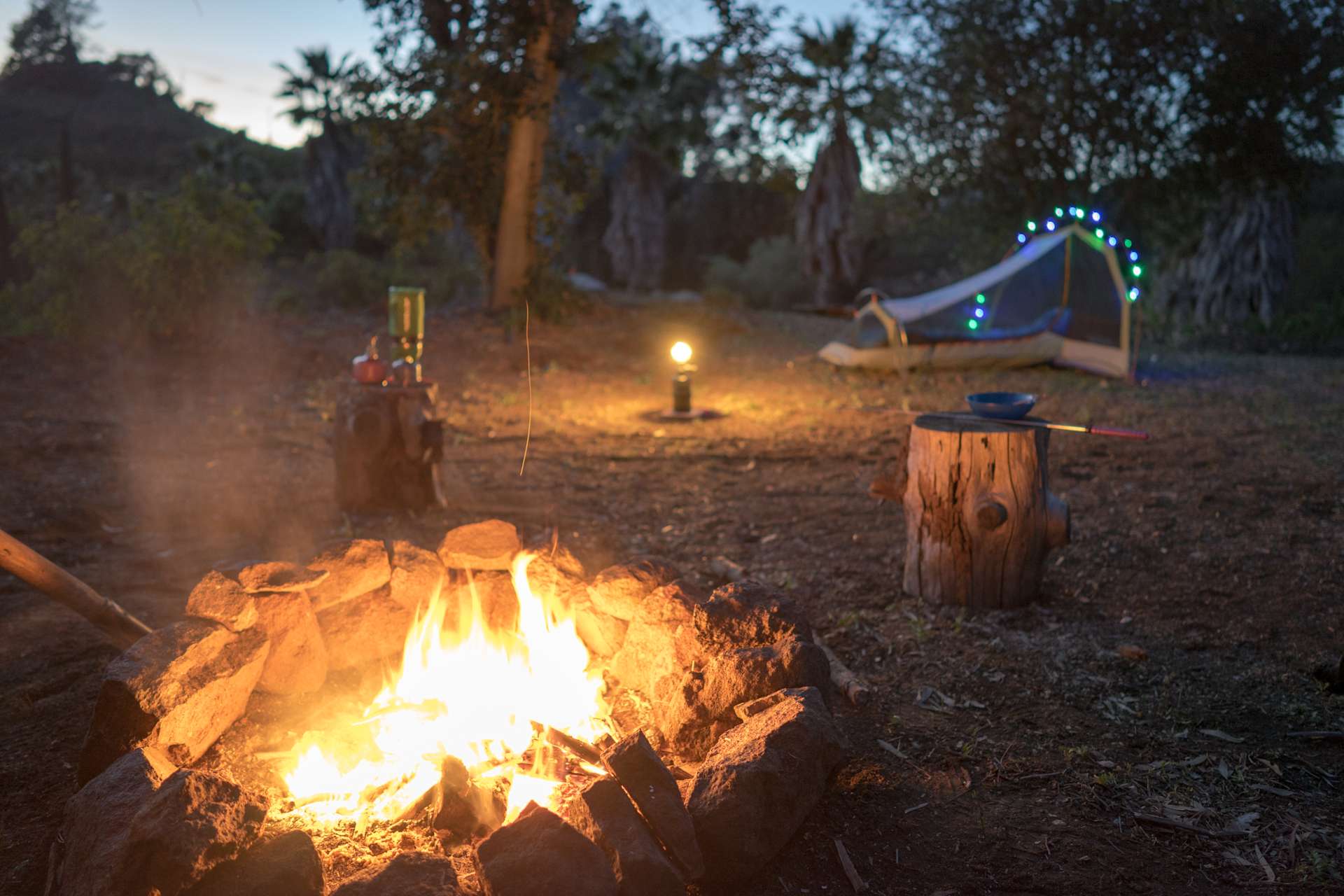 Enchanting Blueberry Farm - Hipcamp in Fallbrook, California