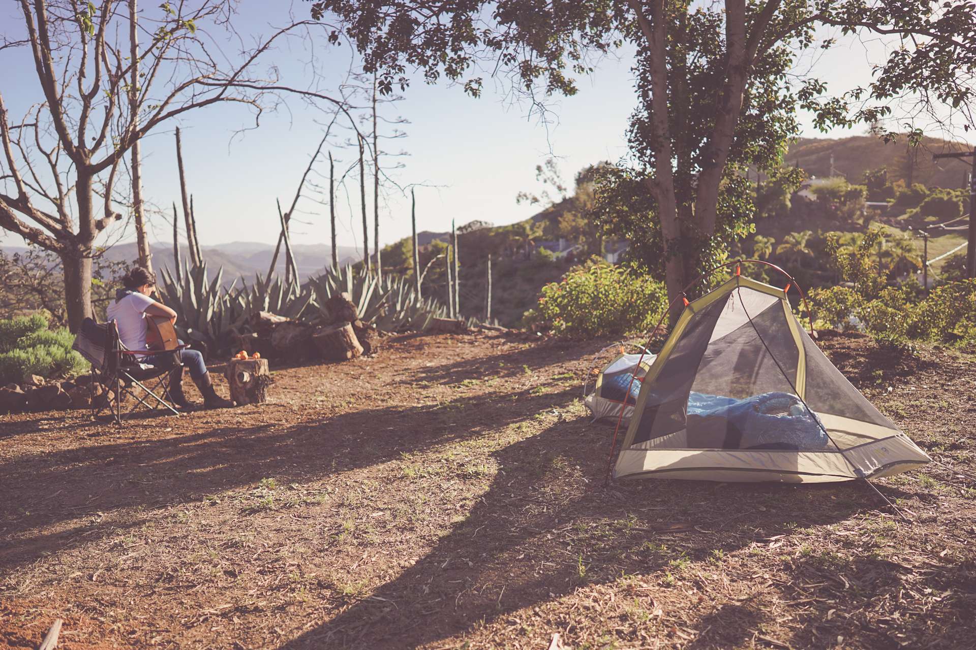 Enchanting Blueberry Farm - Hipcamp in Fallbrook, California