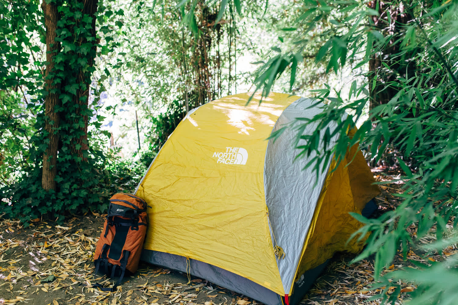 River Bend Resort - Hipcamp in Forestville, California