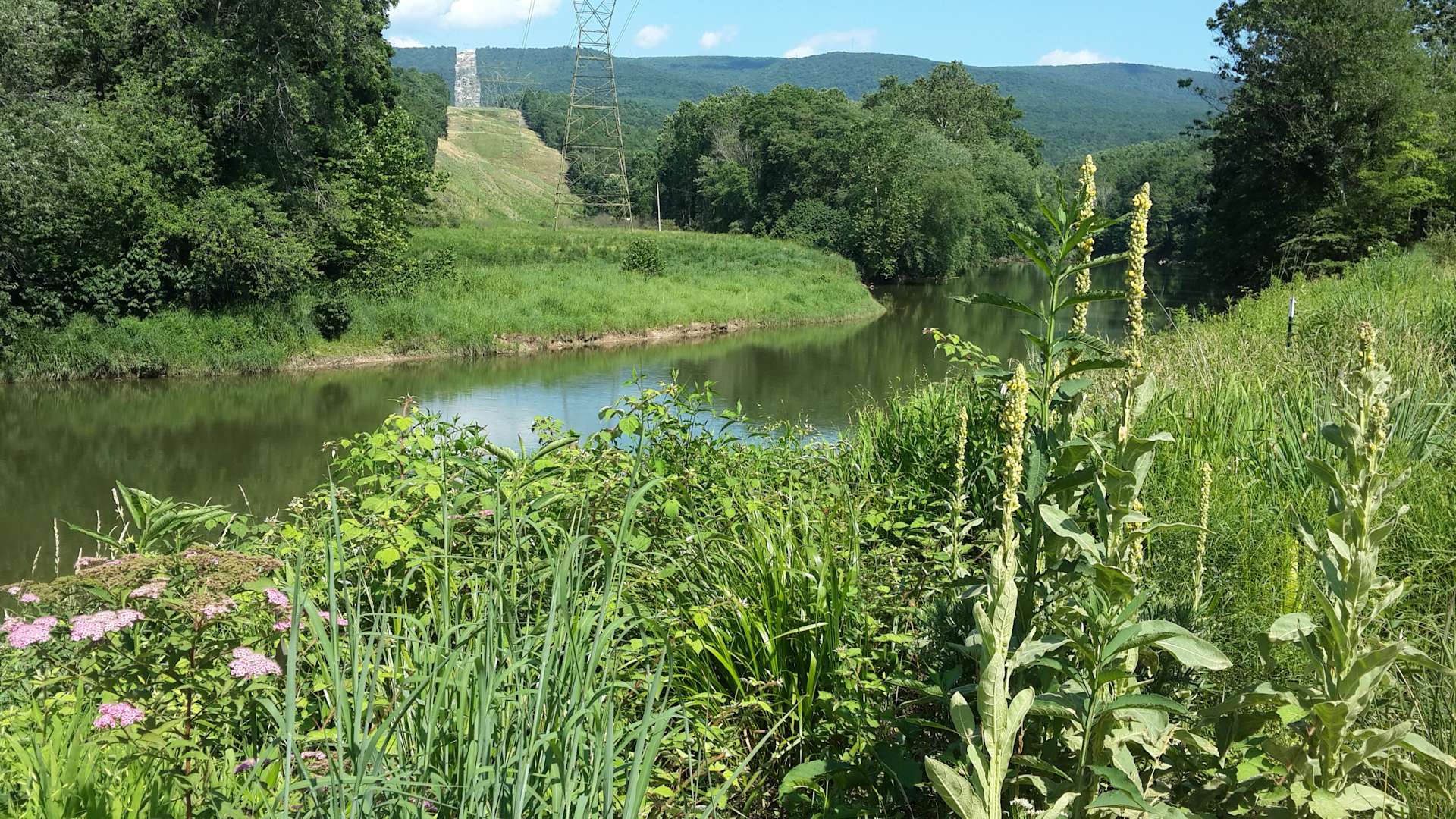 Riverside Mountain Retreat - Hipcamp in Bloomery, West Virginia