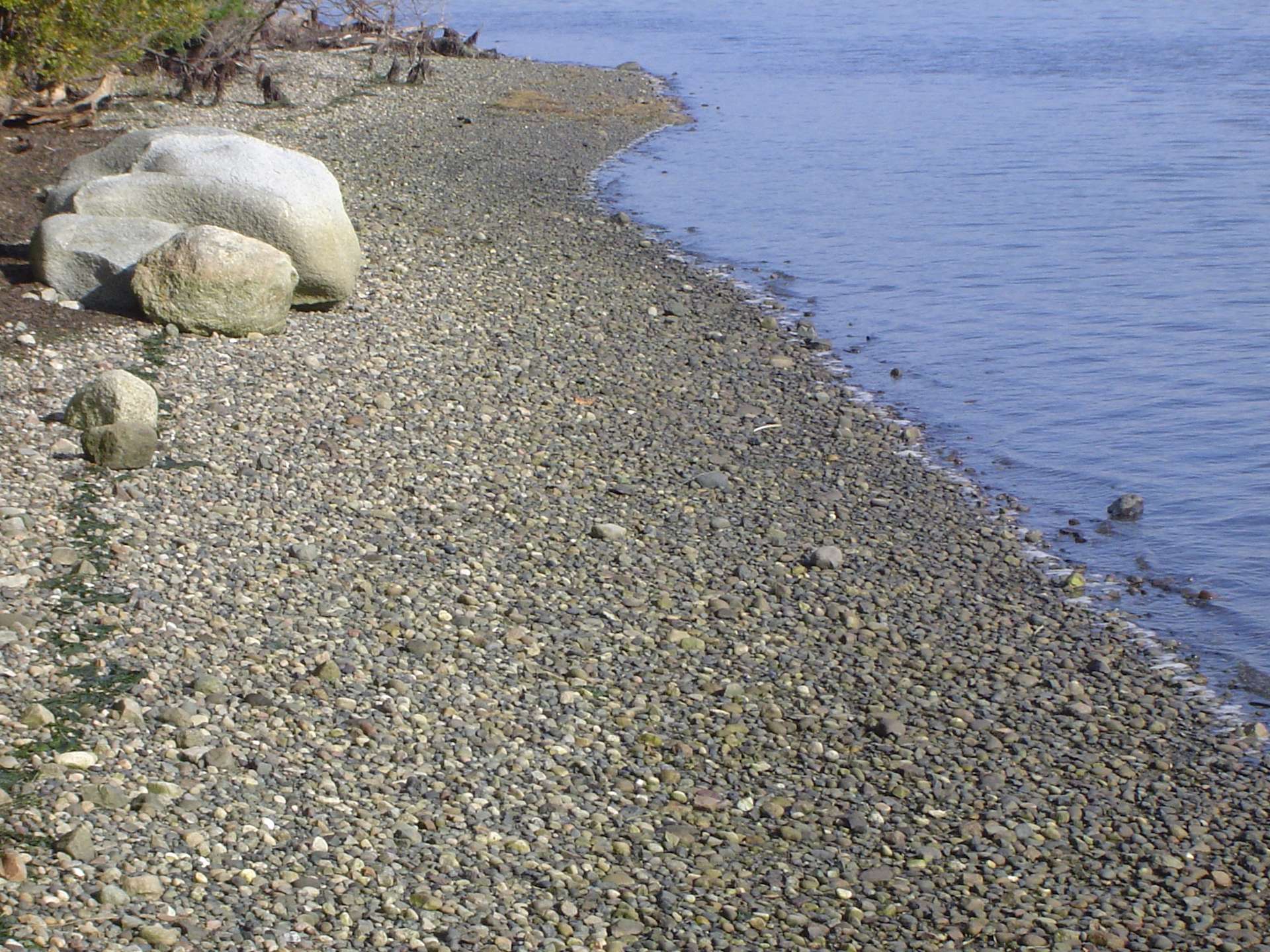 Alice Bay - Hipcamp in Bow, Washington